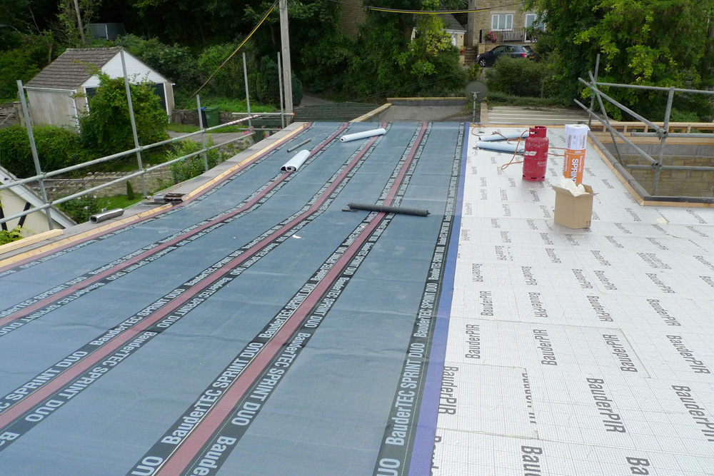 Modernist self-build - Roof and Sedum: Turbosnail | Turboslug